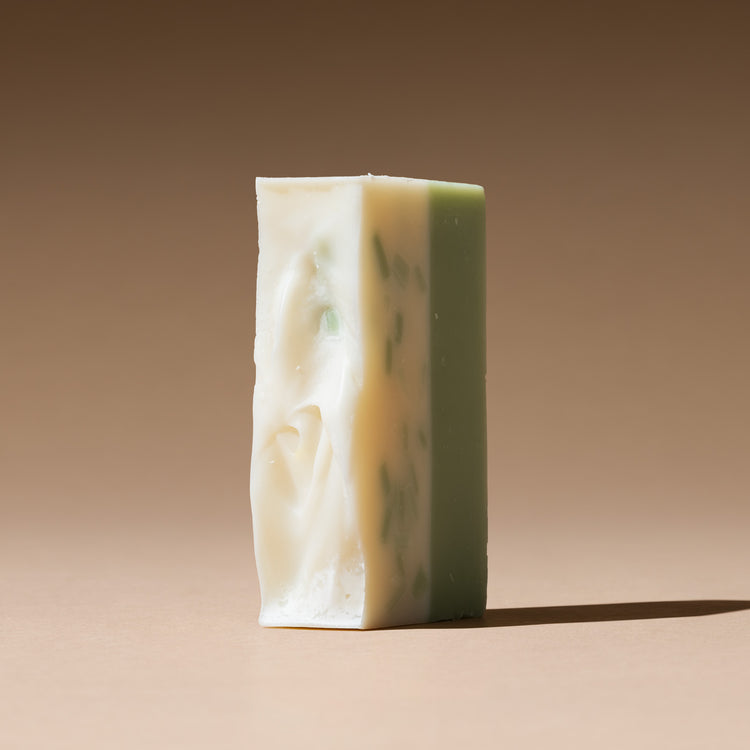 BODY – THE COLD PROCESSオフィシャルサイト 【ザ・コールドプロセス】