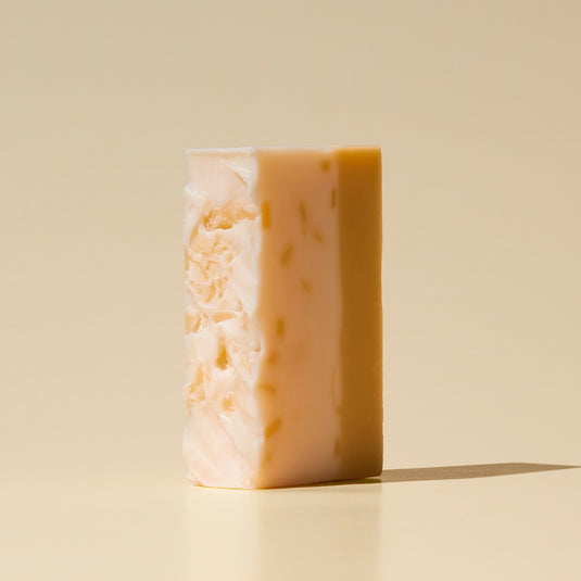 BODY – THE COLD PROCESSオフィシャルサイト 【ザ・コールドプロセス】