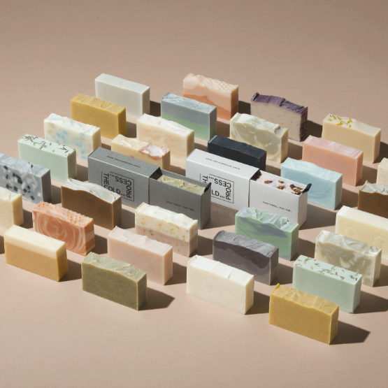 「有吉くんの正直さんぽ」で THE COLD PROCESSが 紹介されました。 – THE COLD PROCESSオフィシャルサイト 【ザ・コールドプロセス】