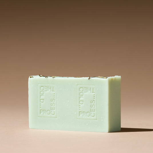 BODY – THE COLD PROCESSオフィシャルサイト 【ザ・コールドプロセス】