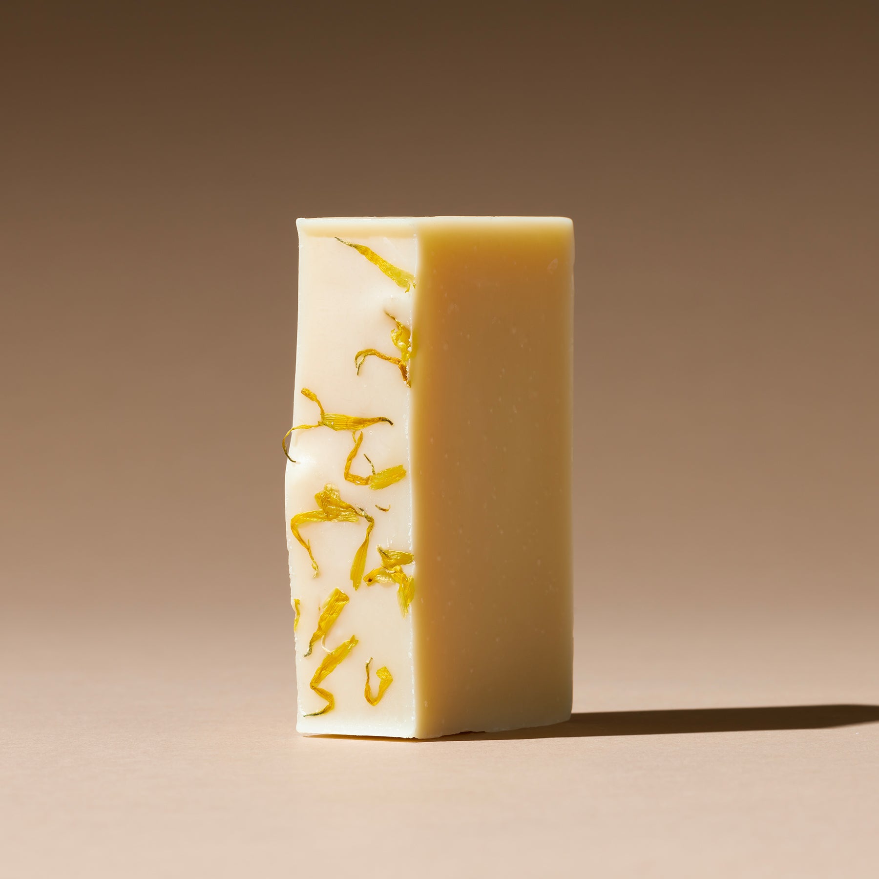 「有吉くんの正直さんぽ」で THE COLD PROCESSが 紹介されました。 – THE COLD PROCESSオフィシャルサイト 【ザ・コールドプロセス】