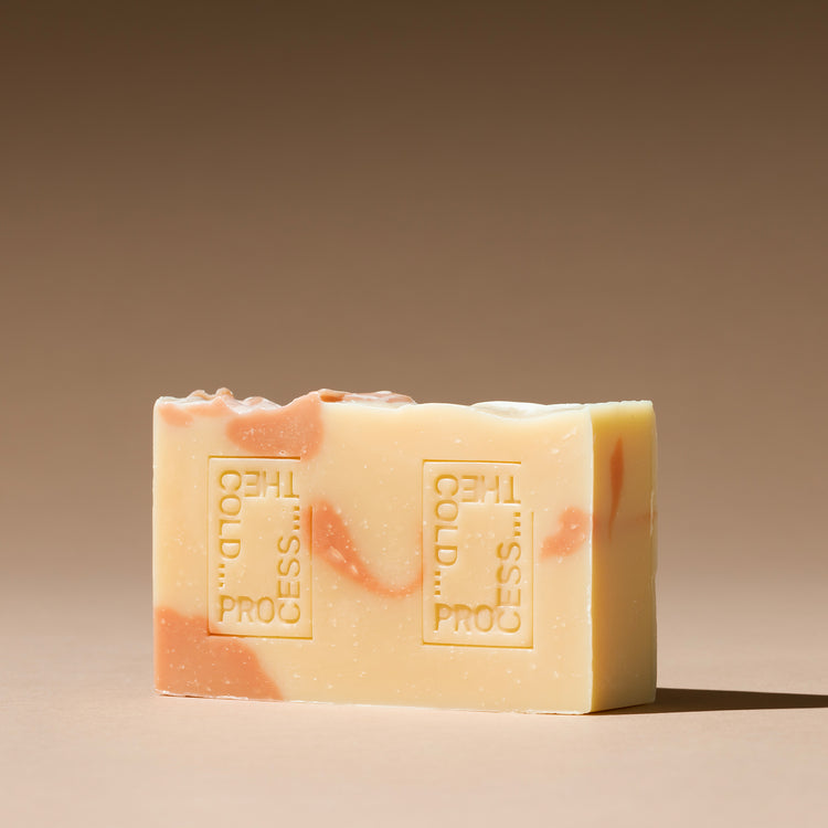 BODY – THE COLD PROCESSオフィシャルサイト 【ザ・コールドプロセス】