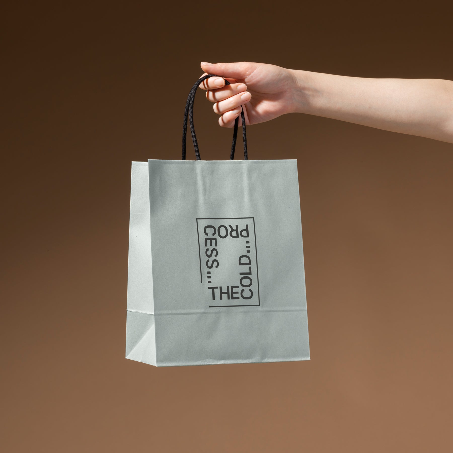 ペーパーバッグ（中） – THE COLD PROCESSオフィシャルサイト 【ザ・コールドプロセス】